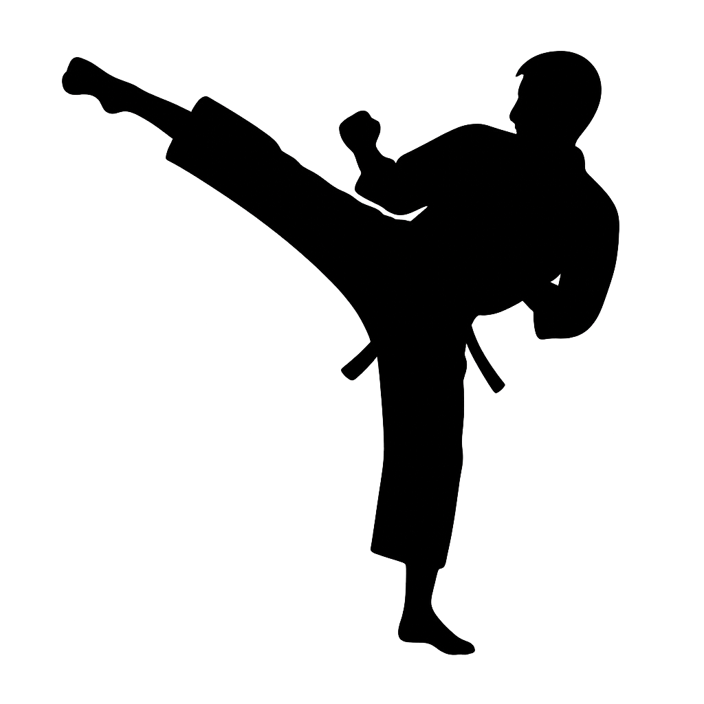 silhouette of a martial artist performing a karate kick, pure black ...